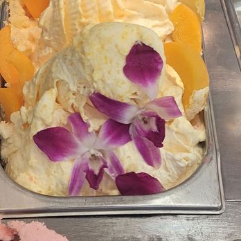 FROST GELATO - Updated October 2024 - 186 Photos & 127 Reviews - 15034 ...