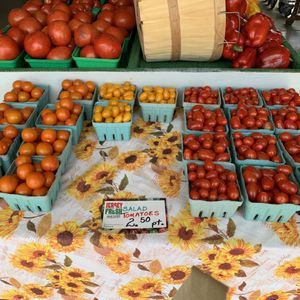 SPRINGDALE FARM MARKET - Updated October 2025 - 43 Photos & 48 Reviews ...