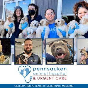 Mount Laurel Animal Hospital Reviews