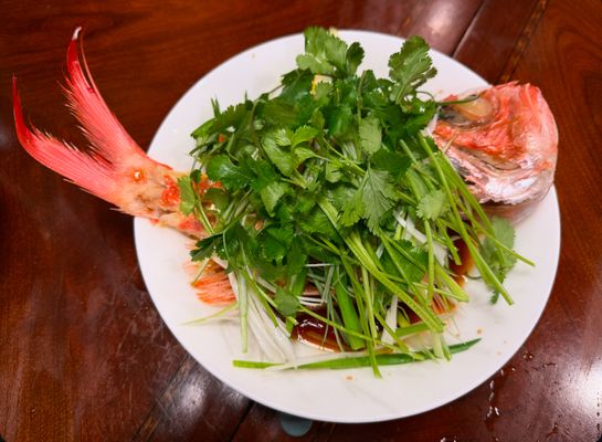 SUN FAT SEAFOOD COMPANY - Updated December 2025 - 286 Photos & 424 ...