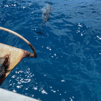 HAWAII ASH SCATTERINGS - Updated December 2025 - 99 Photos & 91 Reviews ...