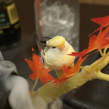 CRAZY STONE - Updated December 2025 - 282 Photos & 209 Reviews - 1009 ...