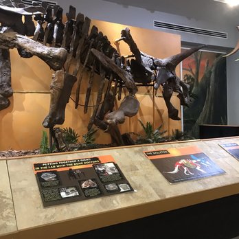 PALM BEACH MUSEUM OF NATURAL HISTORY - Updated December 2025 - 25 ...