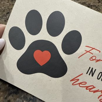 911 VET CARE - Updated May 2025 - 92 Photos & 300 Reviews - 42053 10th ...