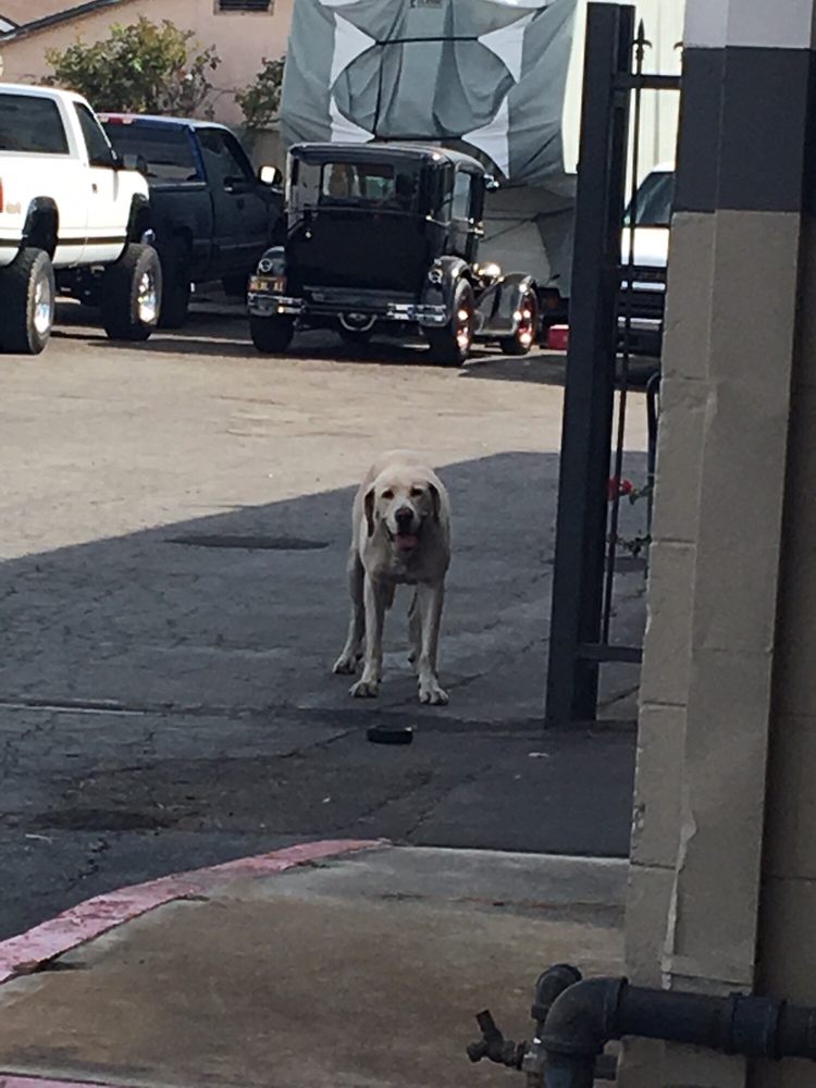 A-1 RADIATOR AND AIR CONDITIONING - Updated January 2026 - 15 Reviews ...