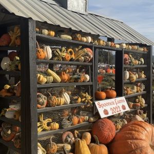 SPOONER FARMS - 84 Photos & 72 Reviews - 9710 State Rte 162 E, Puyallup ...