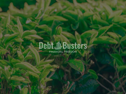 DEBT BUSTERS - Updated December 2025 - 2377 Gold Meadow Way, Gold River ...