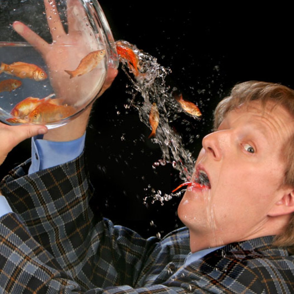 Robin Camacho's Instagram, Twitter & Facebook on IDCrawl