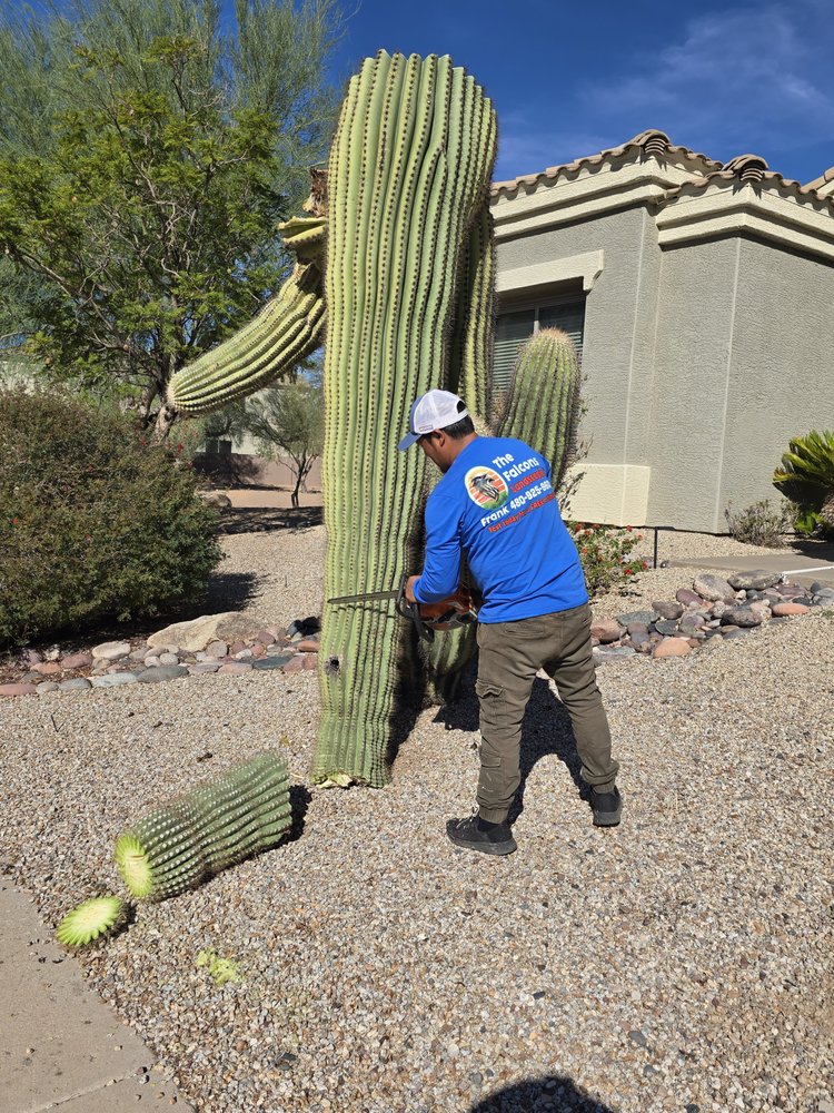 THE FALCONS LANDSCAPING - Updated August 2025 - Phoenix, Arizona ...