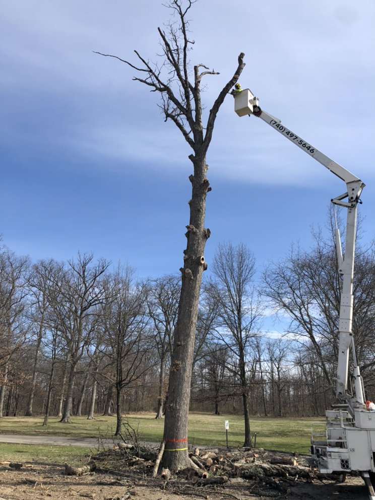 ARBOR PLUS - Updated October 2025 - 75 Sams Creek Rd, Laurelville, Ohio ...