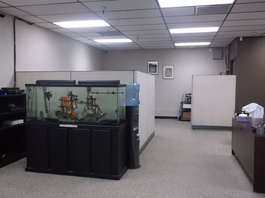 CAPITAL LIVE SCAN - Updated January 2026 - 32 Photos & 94 Reviews ...