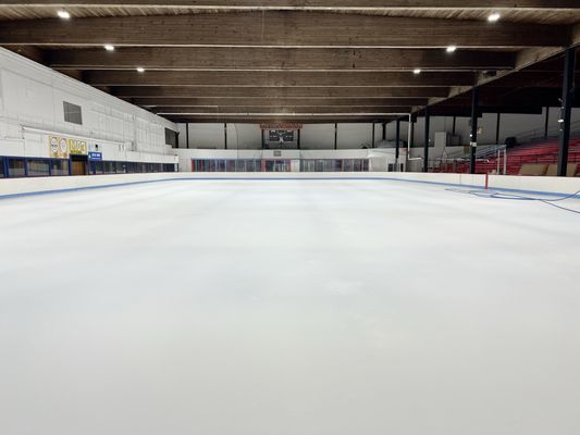 POLAR DOME ICE RINK - Updated November 2025 - 36 Photos - 601 Dundee ...