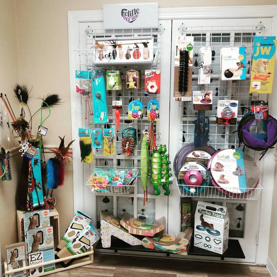 KITSCHY CAT SHACK - Updated December 2025 - 12 Photos & 35 Reviews ...