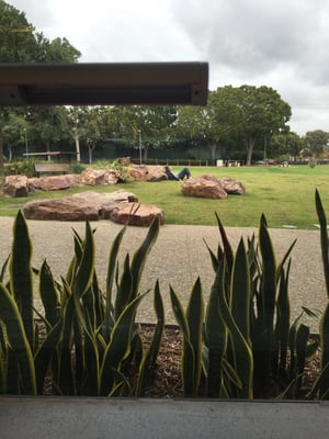 SANTA MONICA PUBLIC LIBRARY - PICO BRANCH - Updated October 2025 - 35 ...