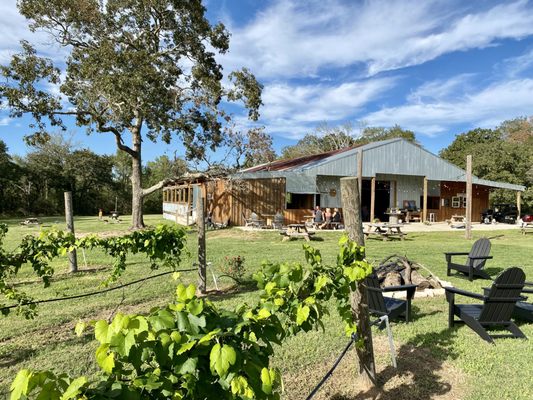 DEEPROOTS VINEYARDS - Updated December 2025 - 99 Photos & 37 Reviews ...