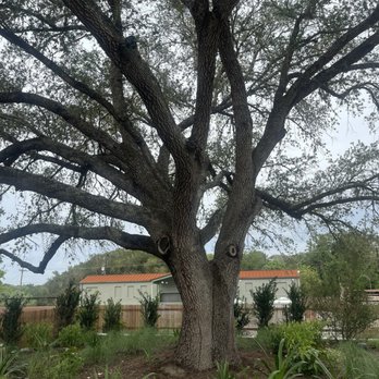 OTTINE MINERAL SPRINGS - Updated December 2025 - 69 Photos & 20 Reviews ...