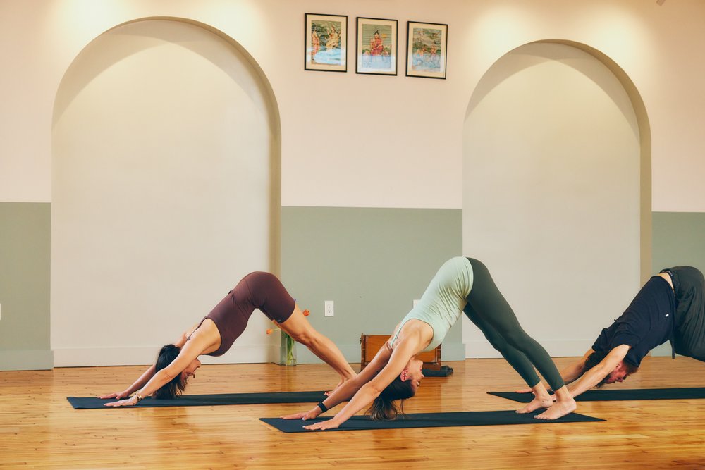 YOGAMAYA - Updated December 2025 - 14 Photos & 146 Reviews - 151 West ...