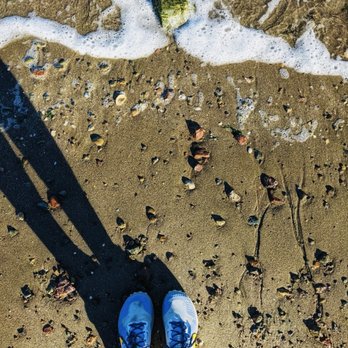 COYOTE POINT RECREATION AREA - Updated October 2025 - 242 Reviews & 678 ...