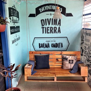 DIVINA TIERRA - Updated September 2024 - 27 Photos - Av. 41 Pte 301 ...