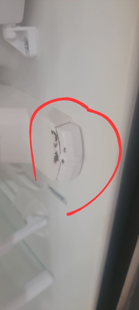 ARIELLE SPRING PLAZA - Updated September 2025 - 67 Photos & 19 Reviews ...