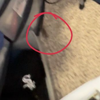 SAGA RENO - Updated January 2026 - 41 Photos & 79 Reviews - 2780 ...