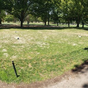 ANCIL HOFFMAN GOLF COURSE - Updated July 2024 - 66 Photos & 72 Reviews ...