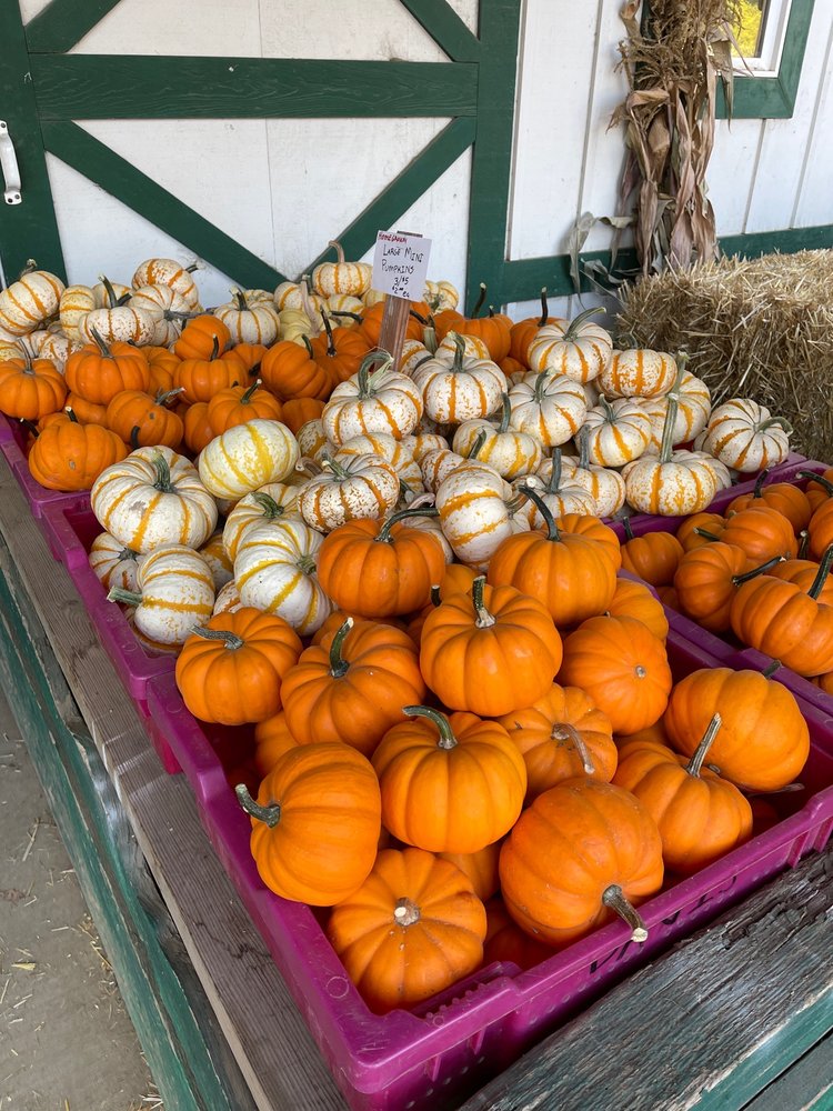 DAVIS FAMILY FARM - Updated December 2025 - 35 Photos & 15 Reviews ...