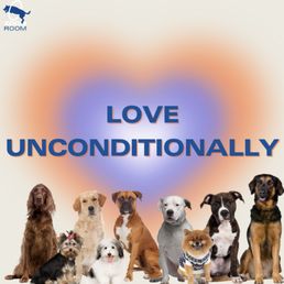 Zoom Room Reviews | Read Customer Service Reviews of zoomroom.com