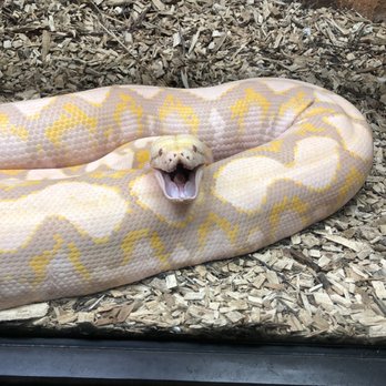 RAINFOREST ADVENTURES - Updated July 2024 - 233 Photos & 87 Reviews ...