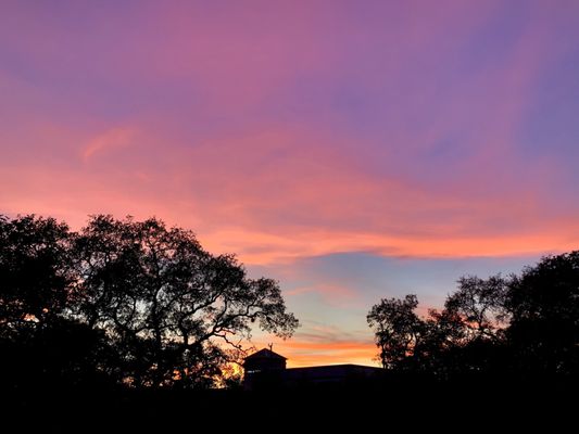 PARMAN LIBRARY AT STONE OAK - Updated September 2025 - 52 Photos & 37 ...