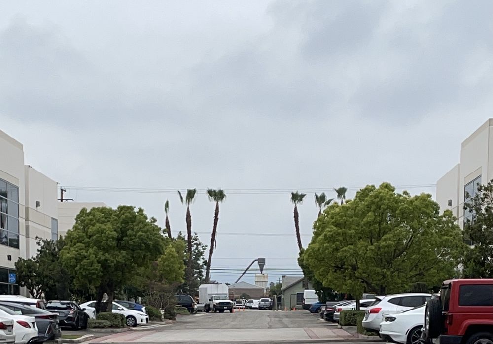 JL TREE CARE - Updated July 2025 - 20 Photos - 9021 Calico Ct, Oak ...