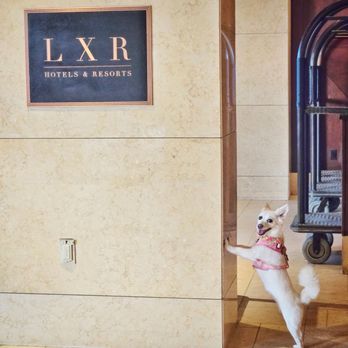 KA LA’I - Updated January 2026 - 310 Photos & 29 Reviews - 223 Saratoga ...