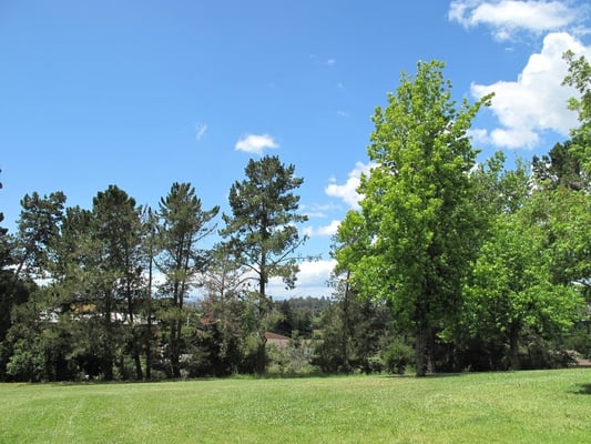 SULPHUR CREEK NATURE CENTER - Updated August 2024 - 165 Photos & 110 ...