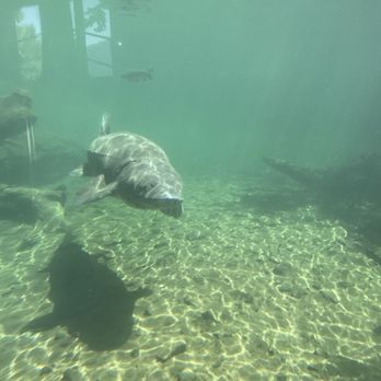 BONNEVILLE DAM FISH HATCHERY - Updated May 2025 - 489 Photos & 117 ...