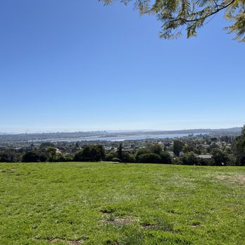 KATE O SESSIONS MEMORIAL PARK - Updated October 2025 - 523 Photos & 334 Reviews - 5115 Soledad ...