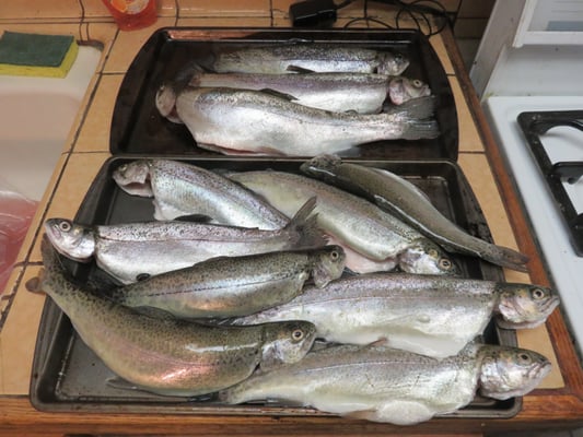 JESS RANCH LAKES - RECREATIONAL FISHING - Updated July 2025 - 33 Photos ...