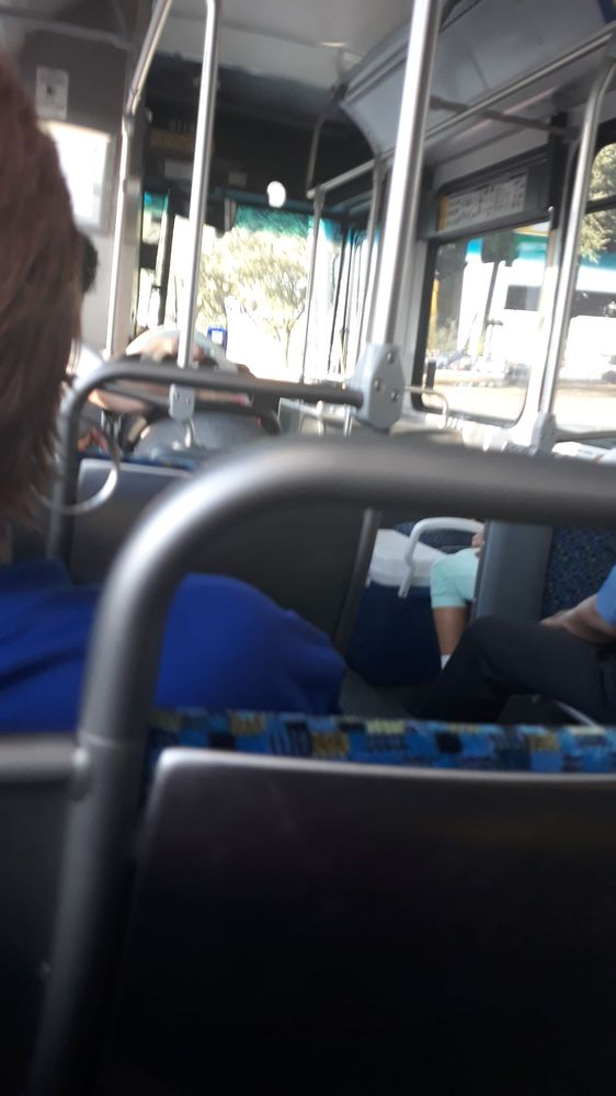 DART BUS STOP - Updated September 2025 - 502 N Westmoreland Rd, Dallas ...