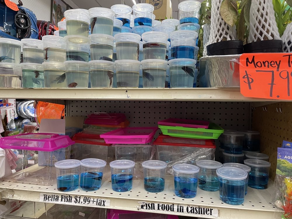 SUPER 99 CENTER PLAZA - Updated October 2024 - 6032 N 59th Ave ...