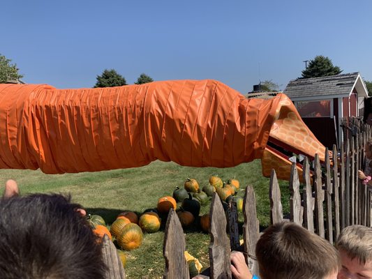 GOEBBERT’S FARM - Updated October 2024 - 237 Photos & 174 Reviews ...