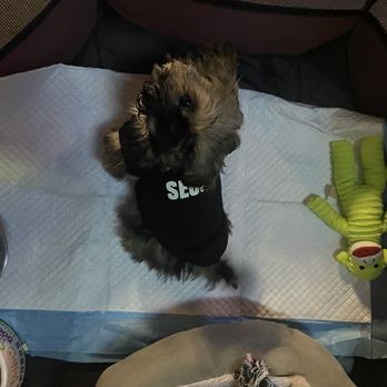 STANDIFORD VETERINARY CENTER - Updated September 2024 - 92 Photos & 298 ...