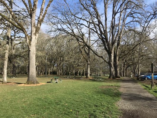 BUSH’S PASTURE PARK - 40 Photos & 24 Reviews - 890 Mission St SE, Salem ...