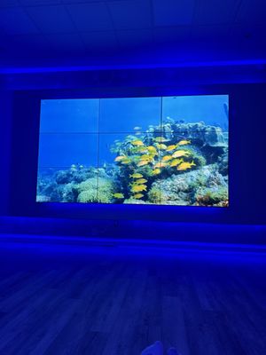 LIFEMED INSTITUTE - Updated January 2026 - 10 Reviews - 15 W Aylesbury ...