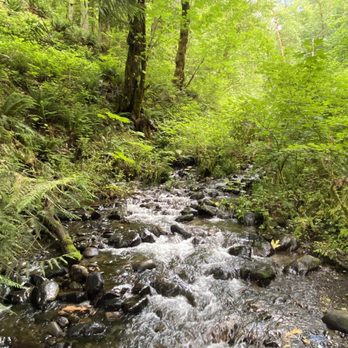 FLAMING GEYSER STATE PARK - Updated October 2025 - 129 Photos & 41 ...