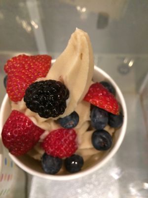 YOGURT FANCY - 46 Photos & 17 Reviews - Ice Cream & Frozen Yogurt - 737 ...