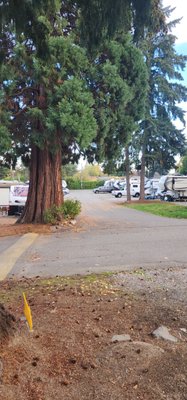 ANGLE LAKE RV PARK - Updated August 2025 - 11 Photos - 2916 S 200th St ...