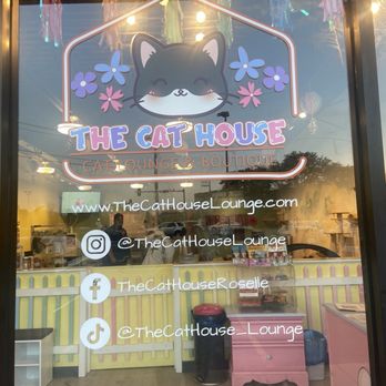 THE CAT HOUSE - Updated December 2025 - 61 Photos & 14 Reviews - 344 E ...