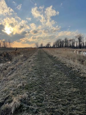 POINTE MOUILLEE STATE GAME AREA - Updated October 2025 - 37205 Mouillee ...