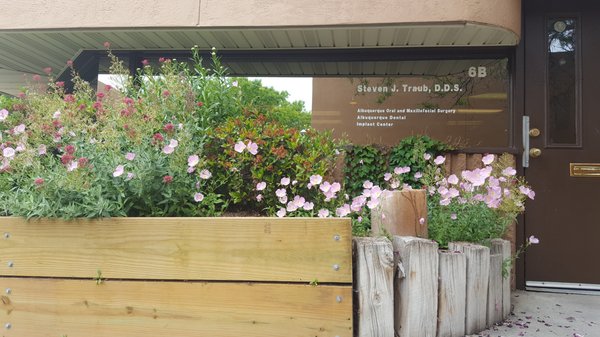 DR. STEVEN J. TRAUB ORAL AND MAXILLOFACIAL SURGERY - Updated December ...