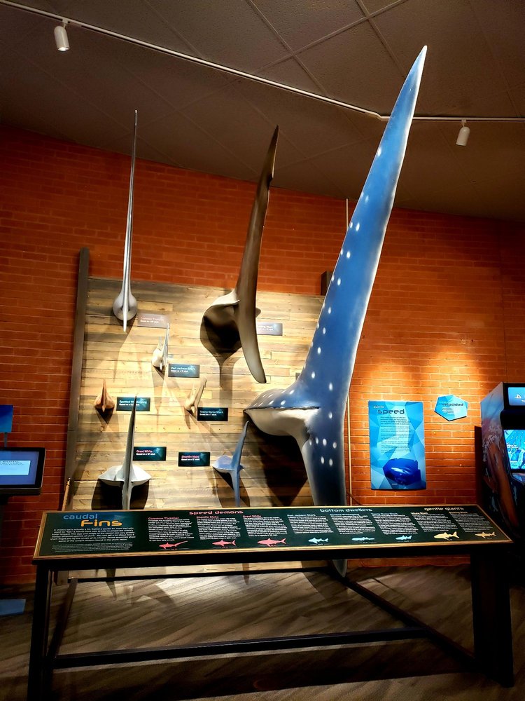 Flandrau Science Center & Planetarium, Tucson | Roadtrippers