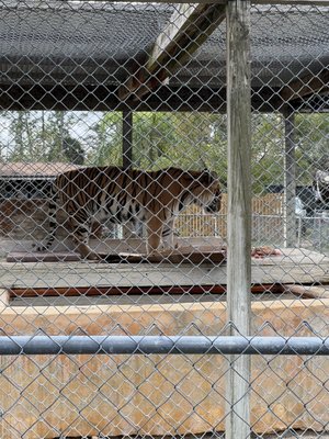 OCTAGON WILDLIFE SANCTUARY - Updated April 2024 - 178 Photos & 40 ...